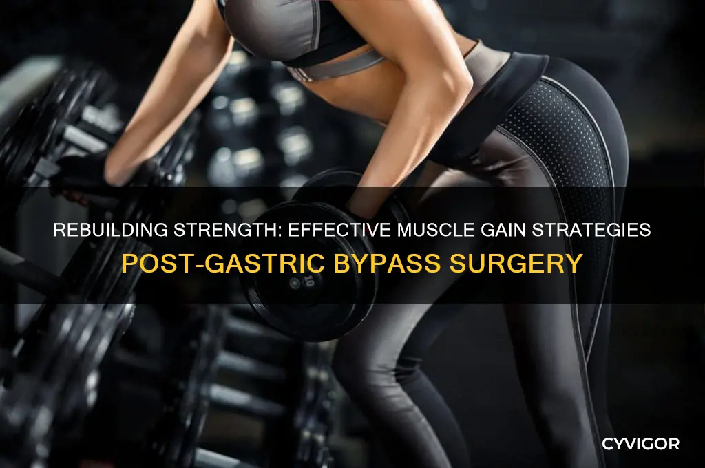 Rebuilding Strength: Effective Muscle Gain Strategies Post-Gastric ...