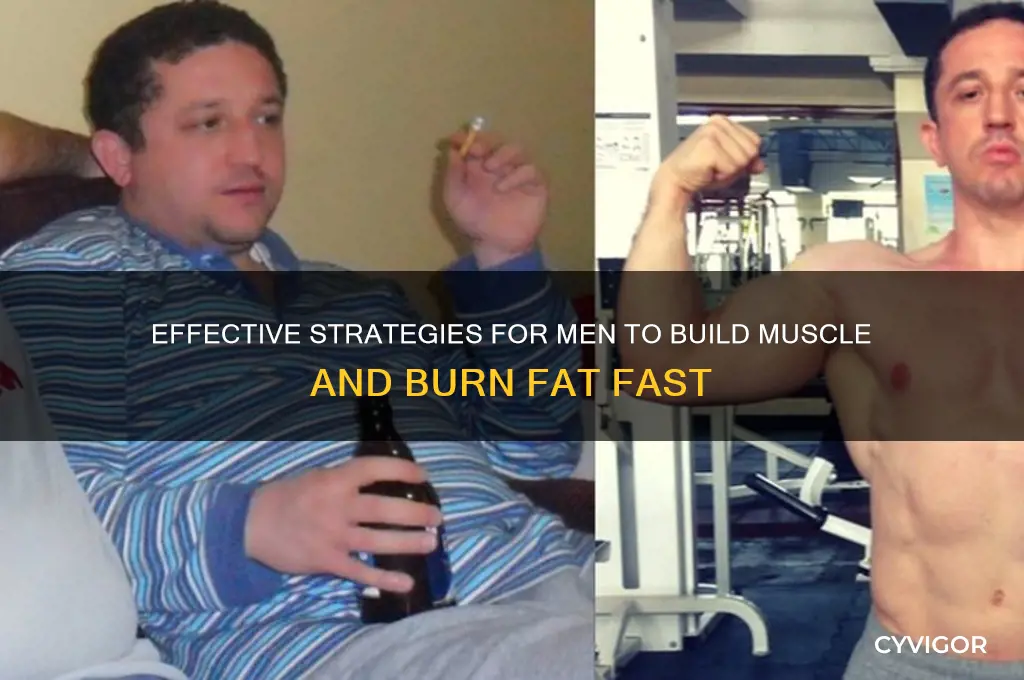 Effective Strategies For Men To Build Muscle And Burn Fat Fast | CyVigor