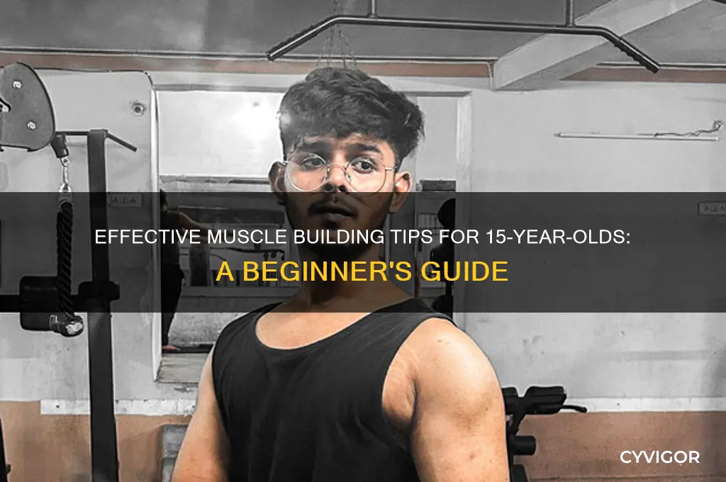 Effective Muscle Building Tips For 15-Year-Olds: A Beginner's Guide ...