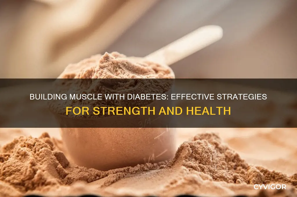 Building Muscle With Diabetes: Effective Strategies For Strength And ...