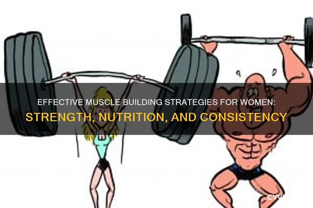 Effective Muscle Building Strategies For Women: Strength, Nutrition ...