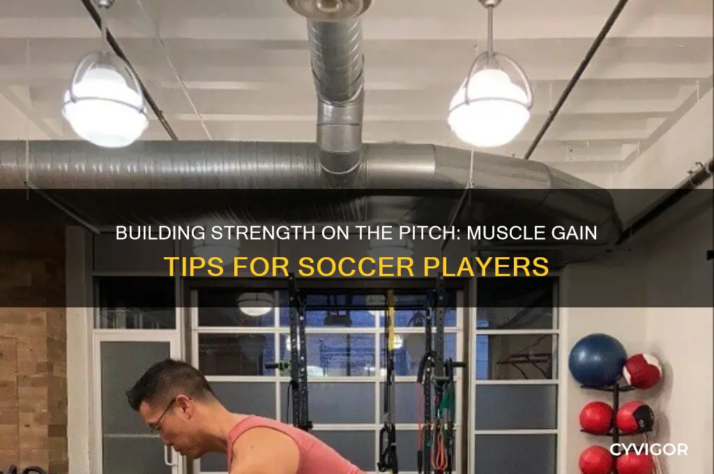 Building Strength On The Pitch: Muscle Gain Tips For Soccer Players ...