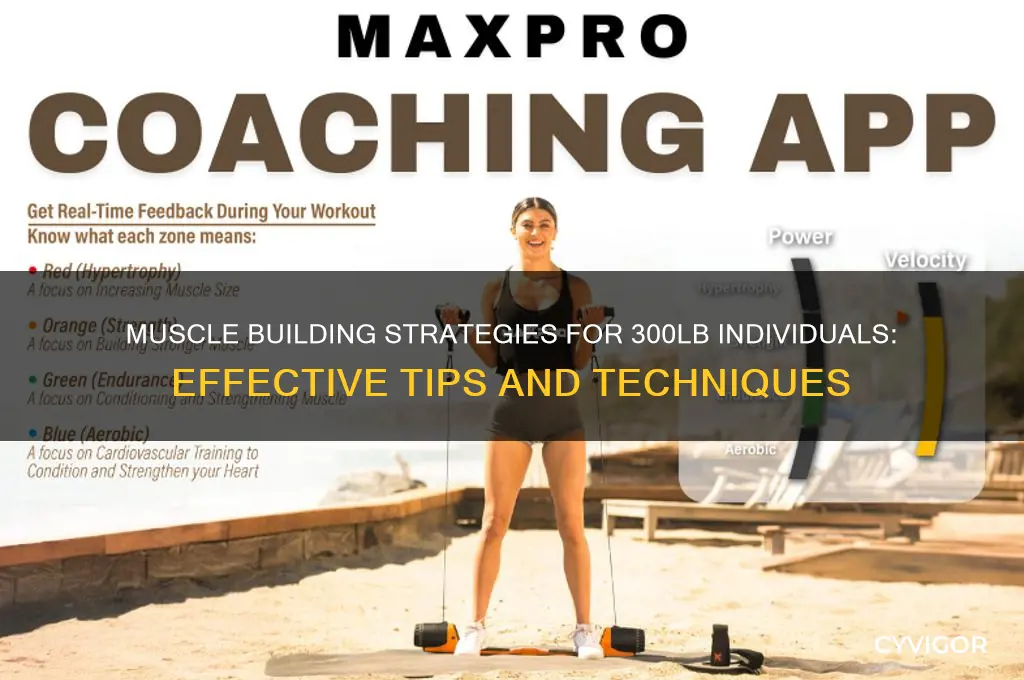 Muscle Building Strategies For 300Lb Individuals: Effective Tips And ...