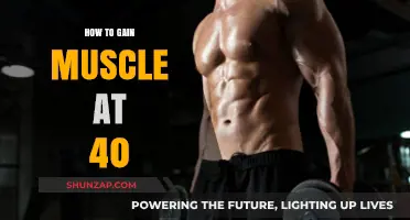 Tall Guy's Guide: Effective Muscle Building Strategies For Height ...