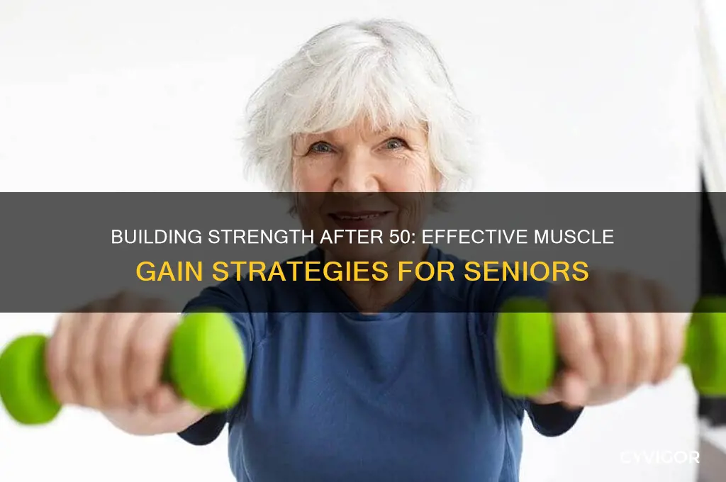 Building Strength After 50: Effective Muscle Gain Strategies For ...