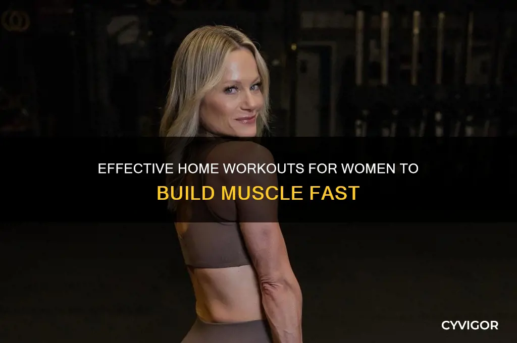 Effective Home Workouts For Women To Build Muscle Fast | CyVigor