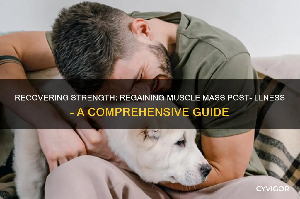 Recovering Strength: Regaining Muscle Mass Post-Illness – A ...