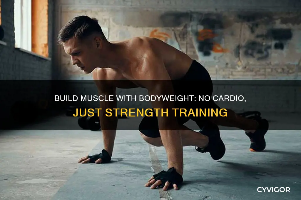 Build Muscle With Bodyweight: No Cardio, Just Strength Training | CyVigor