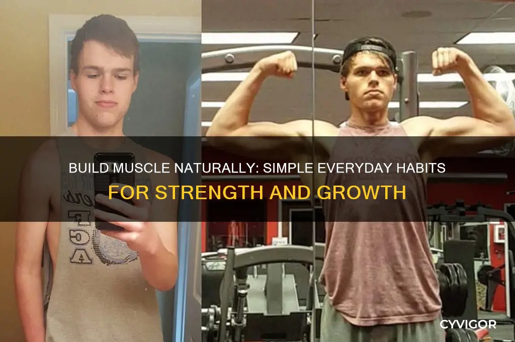 Build Muscle Naturally: Simple Everyday Habits For Strength And Growth ...