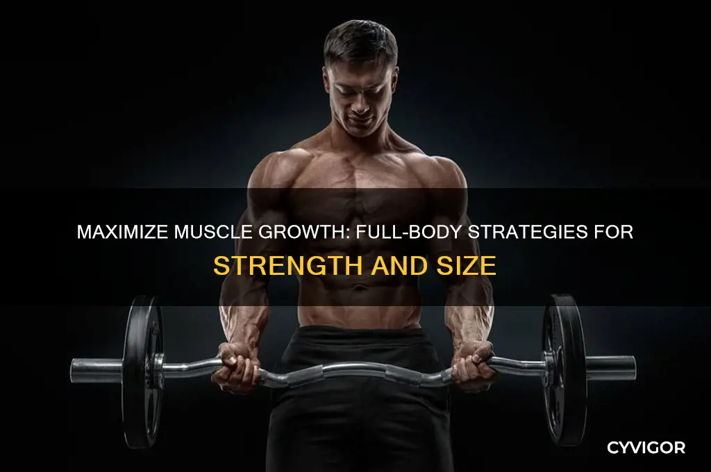Maximize Muscle Growth: Full-Body Strategies For Strength And Size ...