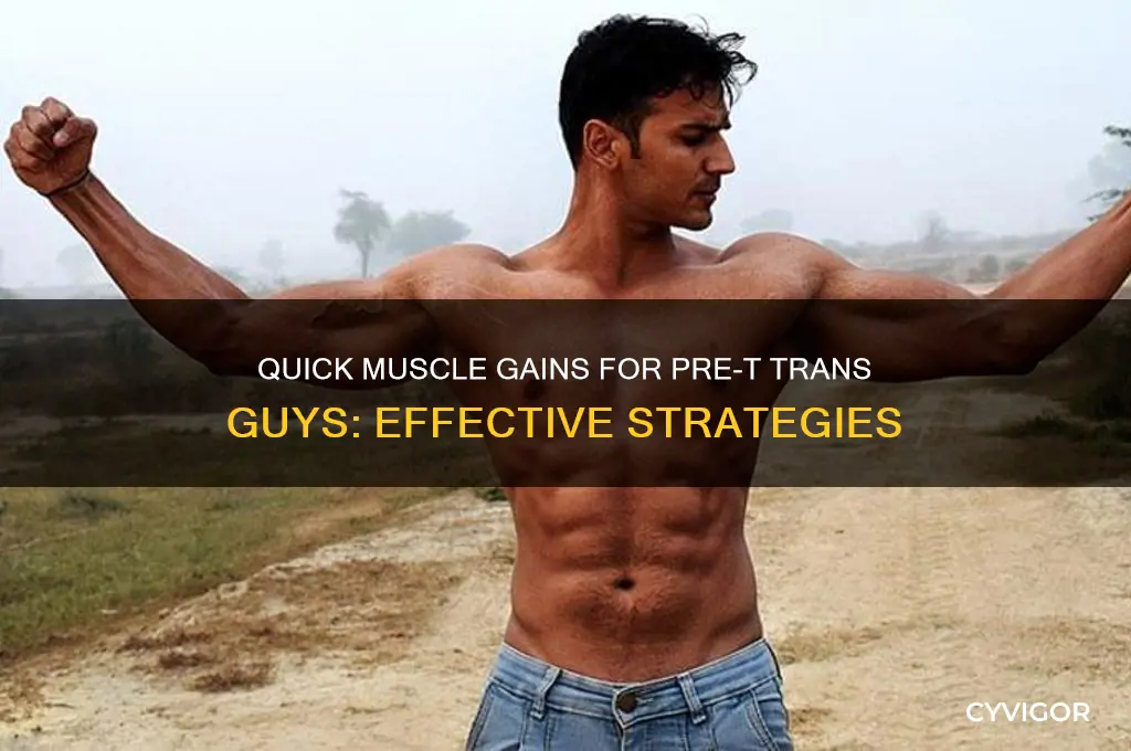 Quick Muscle Gains For Pre-T Trans Guys: Effective Strategies | CyVigor