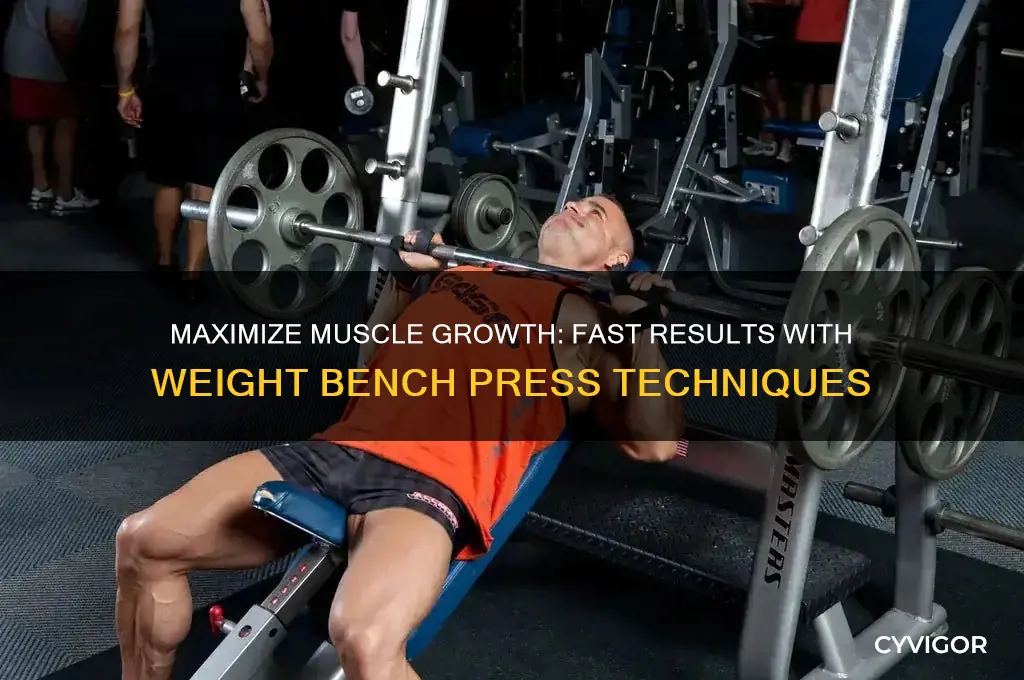 Maximize Muscle Growth: Fast Results With Weight Bench Press Techniques ...