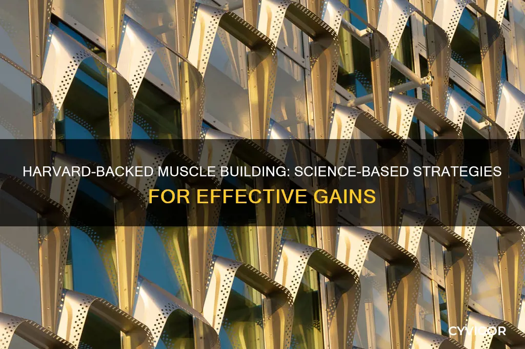 Harvard-Backed Muscle Building: Science-Based Strategies For Effective ...