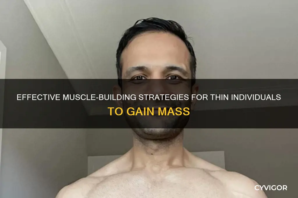 Effective Muscle-Building Strategies For Thin Individuals To Gain Mass ...