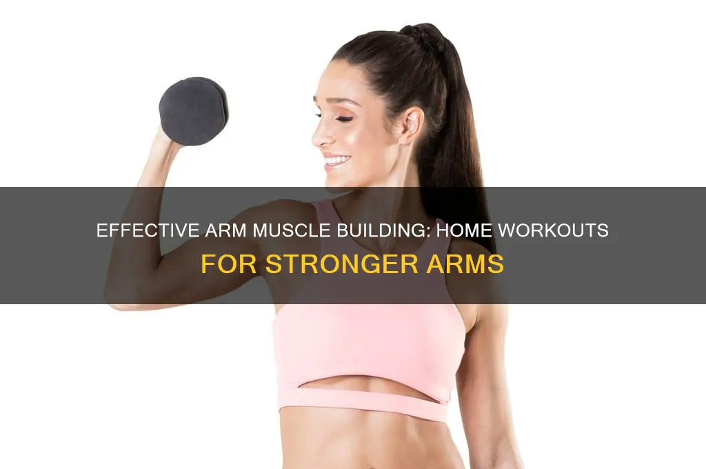 Effective Arm Muscle Building: Home Workouts For Stronger Arms | CyVigor