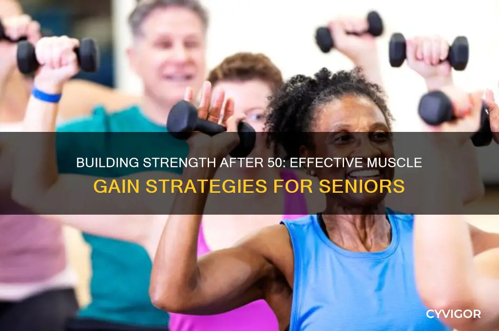 Building Strength After 50: Effective Muscle Gain Strategies For ...