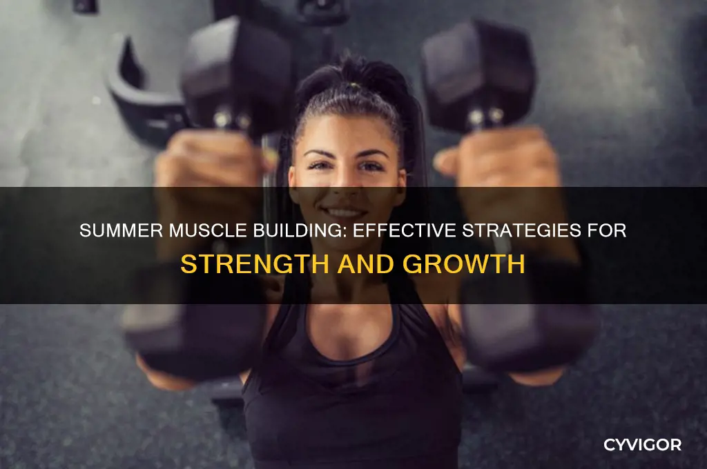 Summer Muscle Building: Effective Strategies For Strength And Growth ...