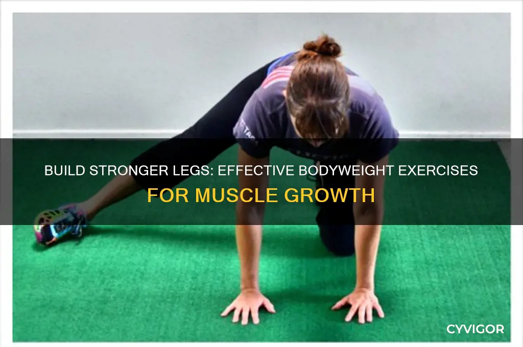 Build Stronger Legs: Effective Bodyweight Exercises For Muscle Growth ...