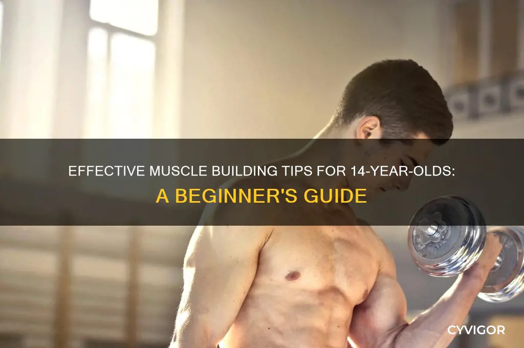 Effective Muscle Building Tips For 14-Year-Olds: A Beginner's Guide ...