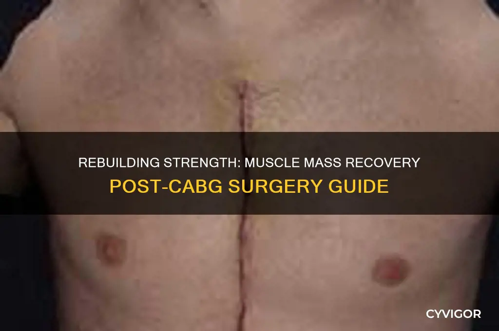 Rebuilding Strength: Muscle Mass Recovery Post-Cabg Surgery Guide | CyVigor
