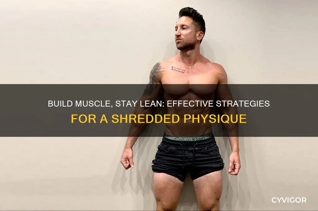 Build Muscle, Stay Lean: Effective Strategies For A Shredded Physique ...