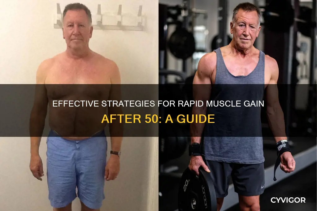 Effective Strategies For Rapid Muscle Gain After 50: A Guide | CyVigor