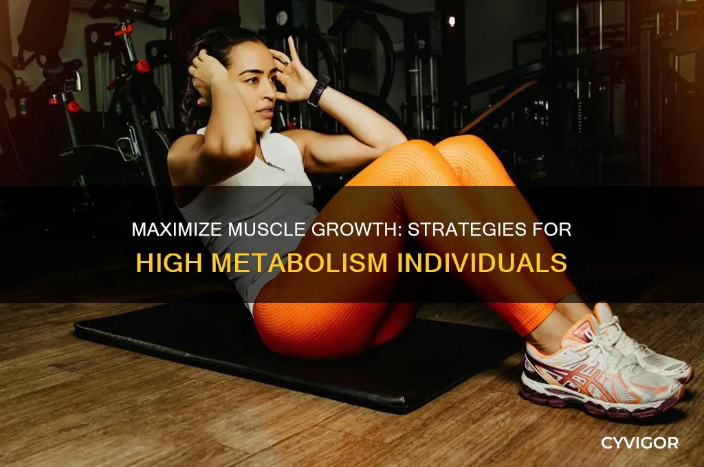 Maximize Muscle Growth: Strategies For High Metabolism Individuals ...