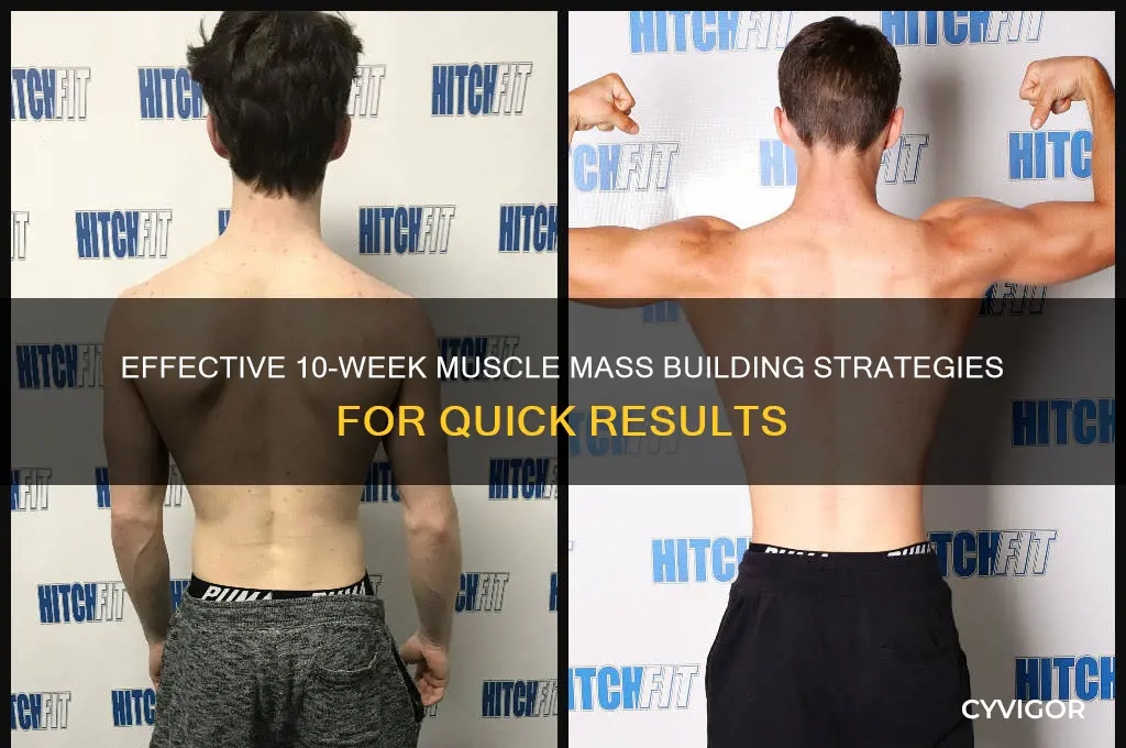 Effective 10-Week Muscle Mass Building Strategies For Quick Results ...