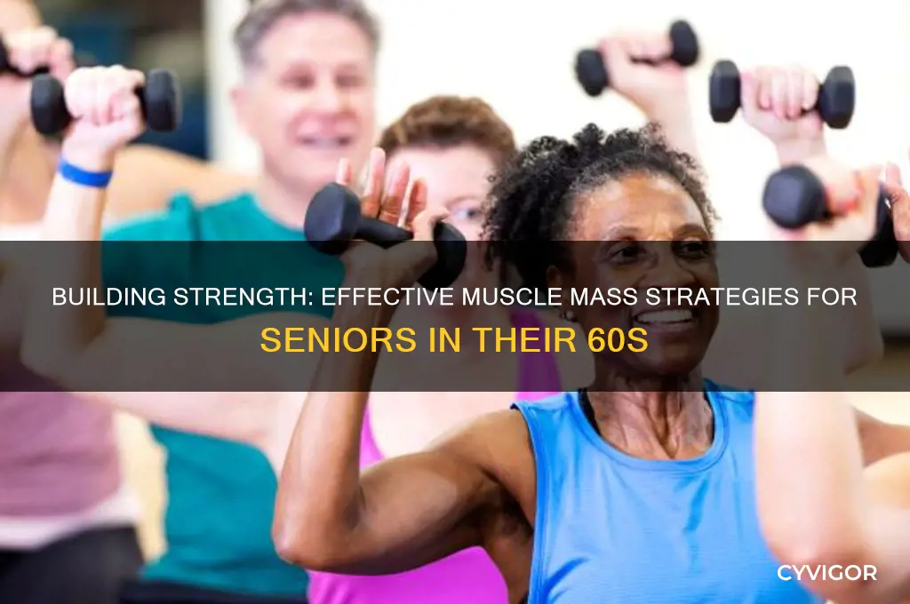 Building Strength: Effective Muscle Mass Strategies For Seniors In ...