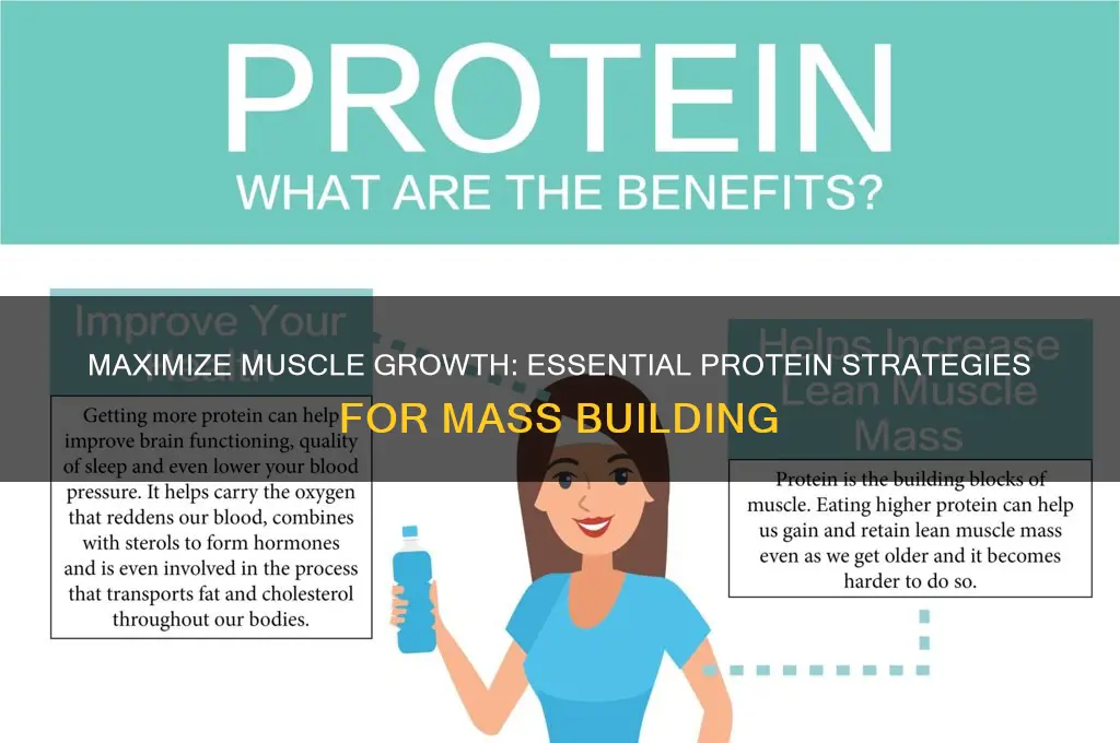Maximize Muscle Growth: Essential Protein Strategies For Mass Building ...
