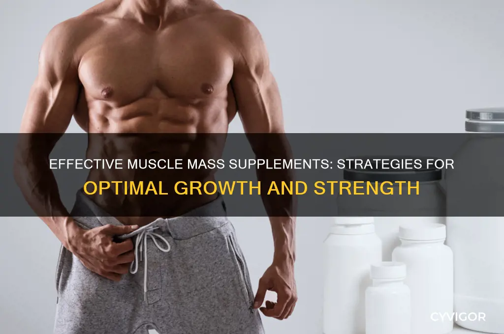 Effective Muscle Mass Supplements: Strategies For Optimal Growth And ...