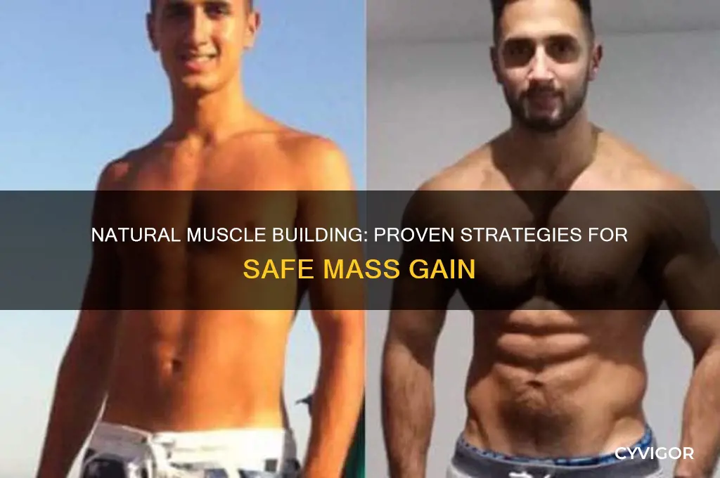 Natural Muscle Building: Proven Strategies For Safe Mass Gain | CyVigor