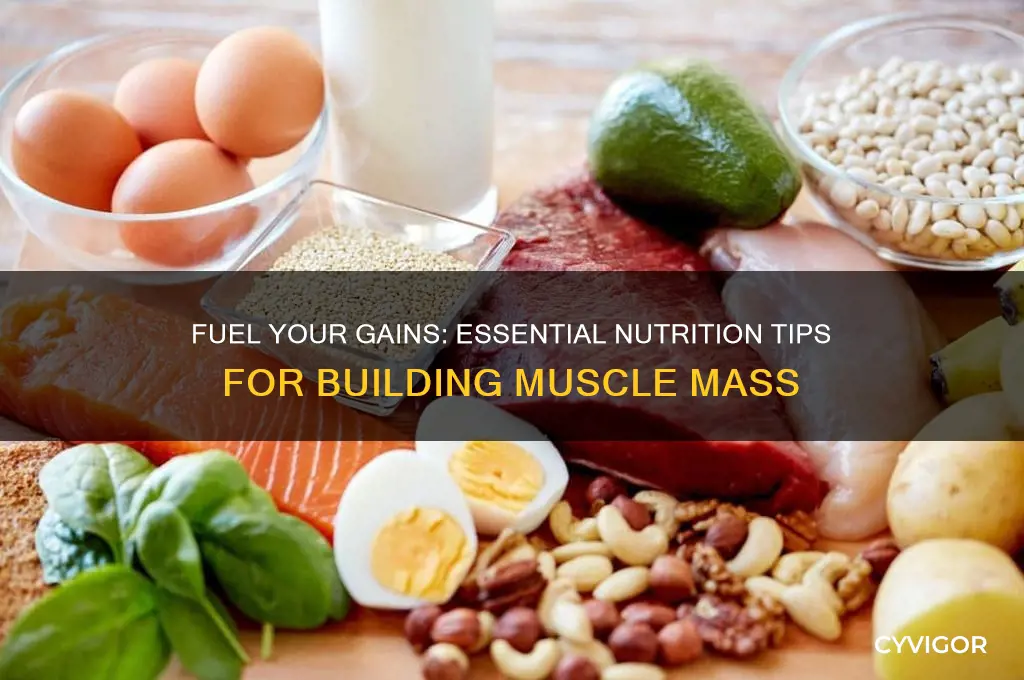 Fuel Your Gains: Essential Nutrition Tips For Building Muscle Mass ...