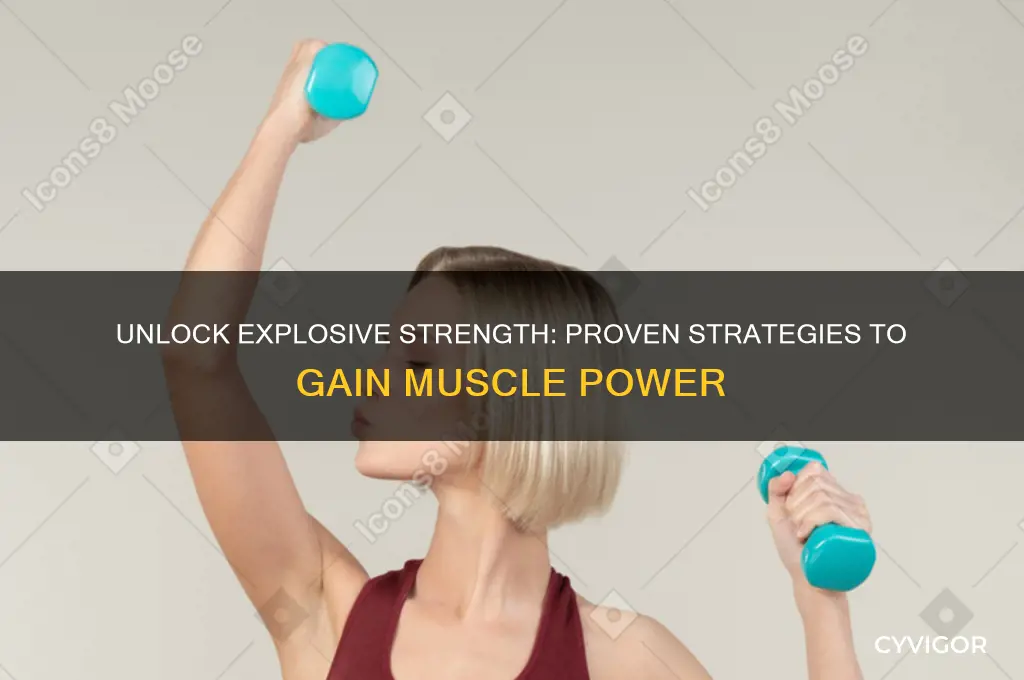 Unlock Explosive Strength: Proven Strategies To Gain Muscle Power | CyVigor