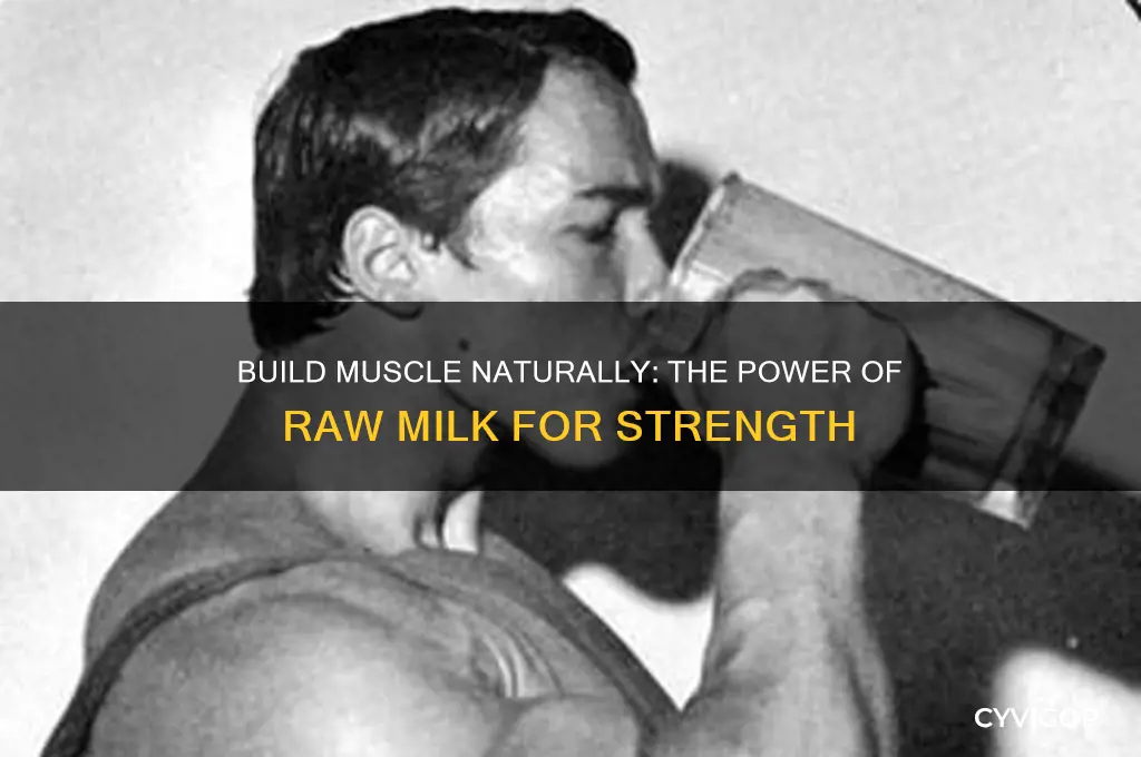 Build Muscle Naturally: The Power Of Raw Milk For Strength | CyVigor