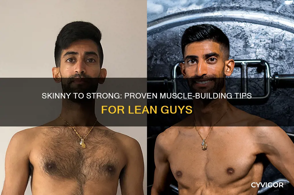 Skinny To Strong: Proven Muscle-Building Tips For Lean Guys | CyVigor