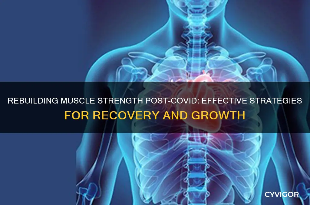 Rebuilding Muscle Strength Post-Covid: Effective Strategies For ...