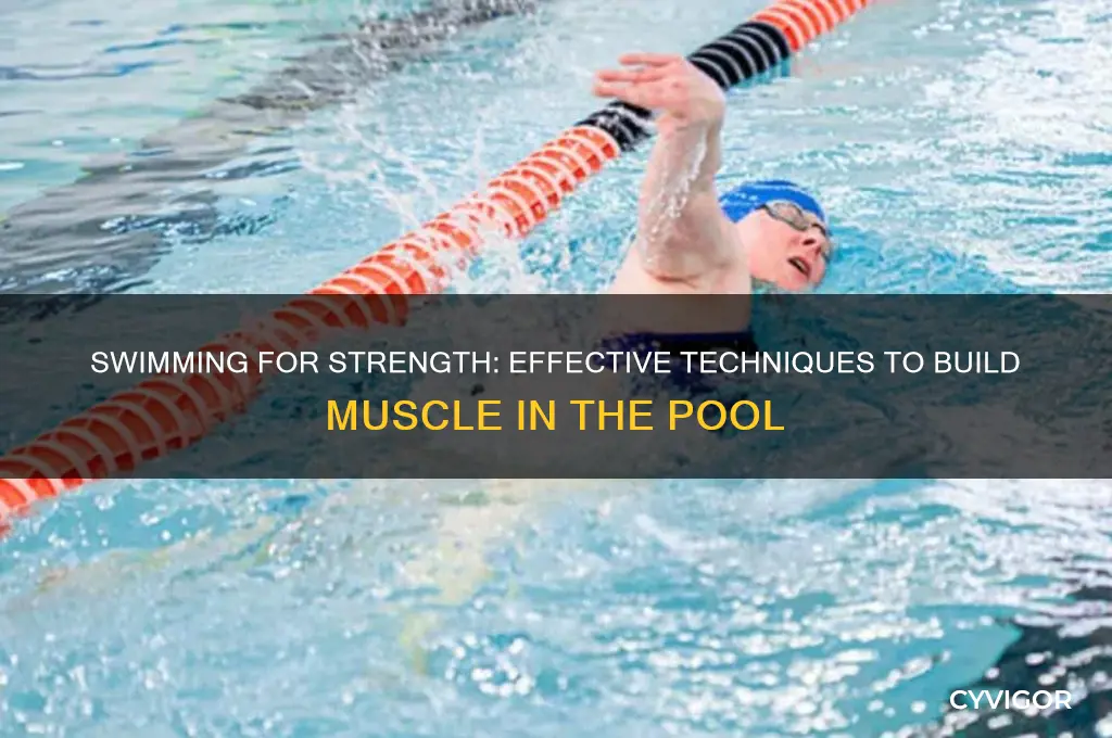 Swimming For Strength: Effective Techniques To Build Muscle In The Pool ...