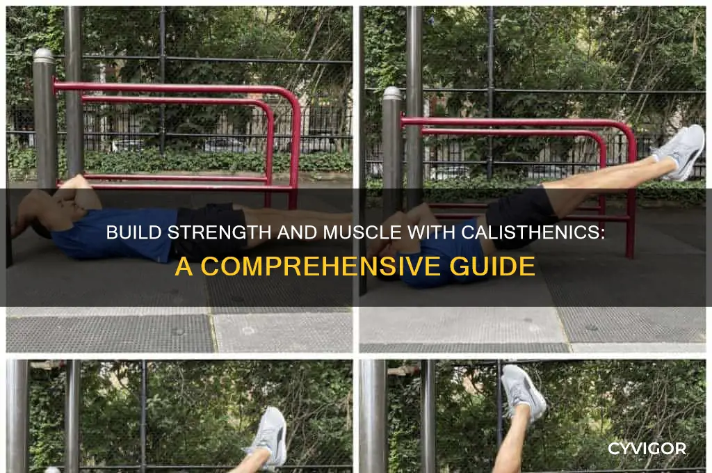 Build Strength And Muscle With Calisthenics: A Comprehensive Guide ...