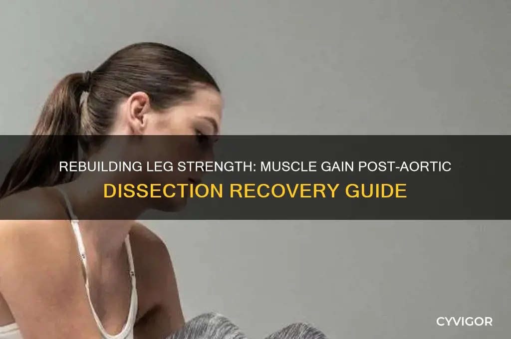 Rebuilding Leg Strength: Muscle Gain Post-Aortic Dissection Recovery ...