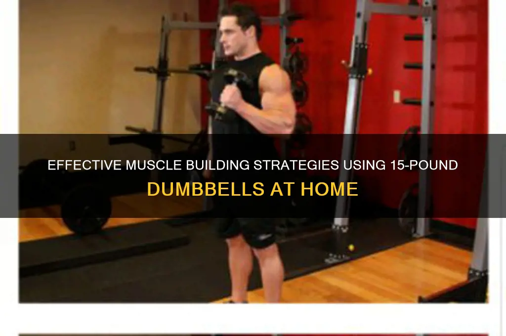 Effective Muscle Building Strategies Using 15-Pound Dumbbells At Home ...