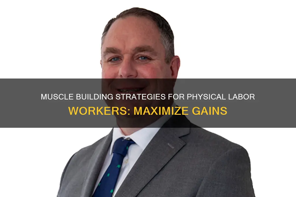 Muscle Building Strategies For Physical Labor Workers: Maximize Gains ...