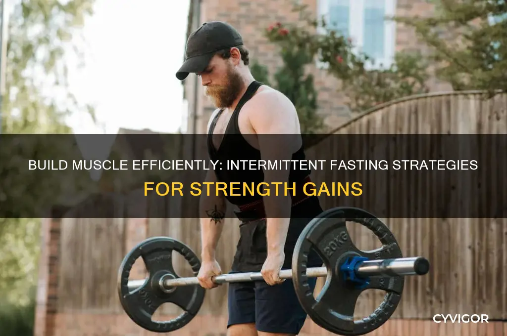 Build Muscle Efficiently: Intermittent Fasting Strategies For Strength ...