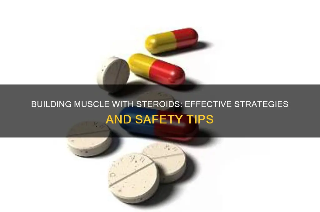 Building Muscle With Steroids: Effective Strategies And Safety Tips ...