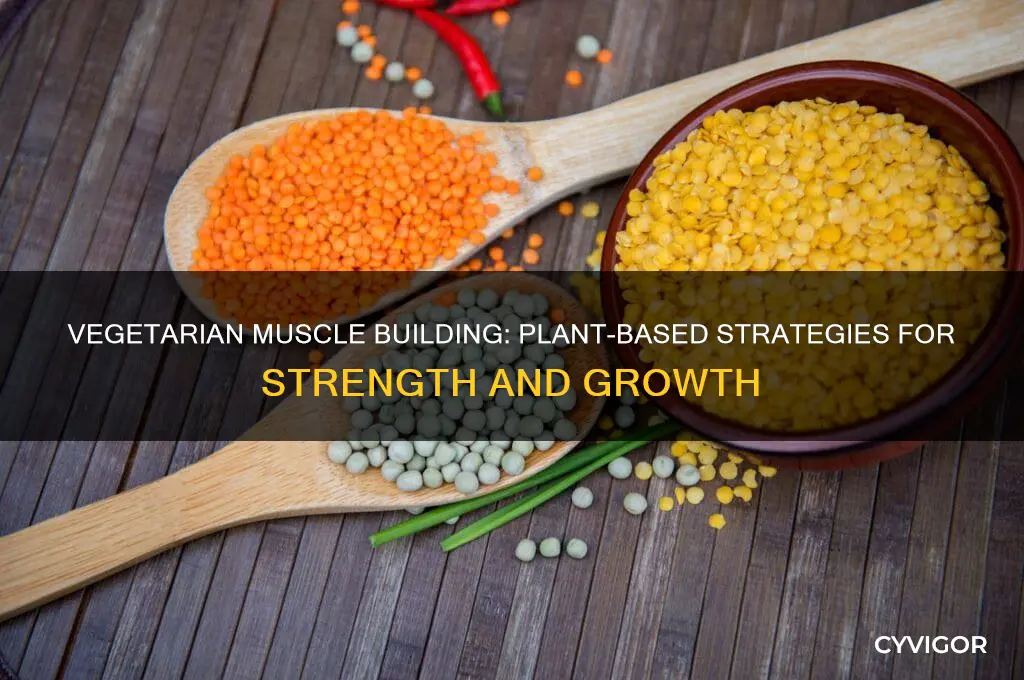 Vegetarian Muscle Building: Plant-Based Strategies For Strength And ...