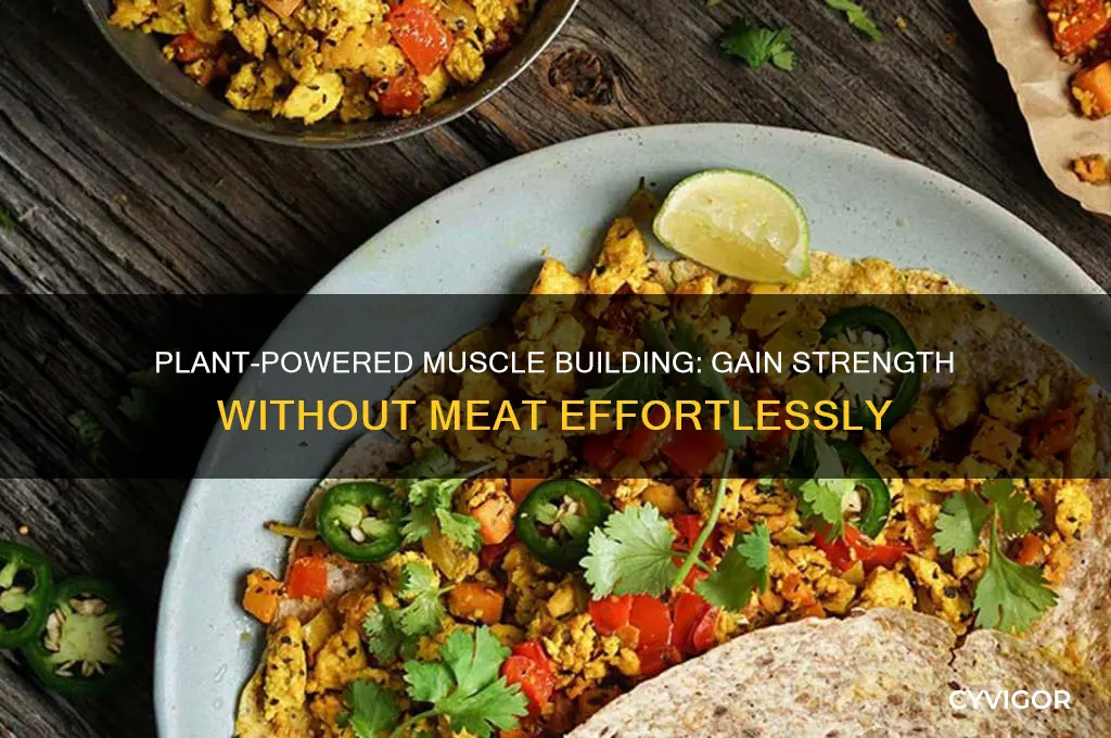 Plant-Powered Muscle Building: Gain Strength Without Meat Effortlessly ...