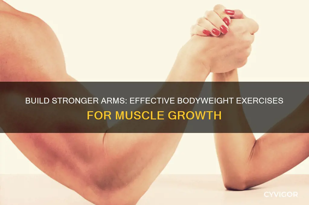 Build Stronger Arms: Effective Bodyweight Exercises For Muscle Growth ...
