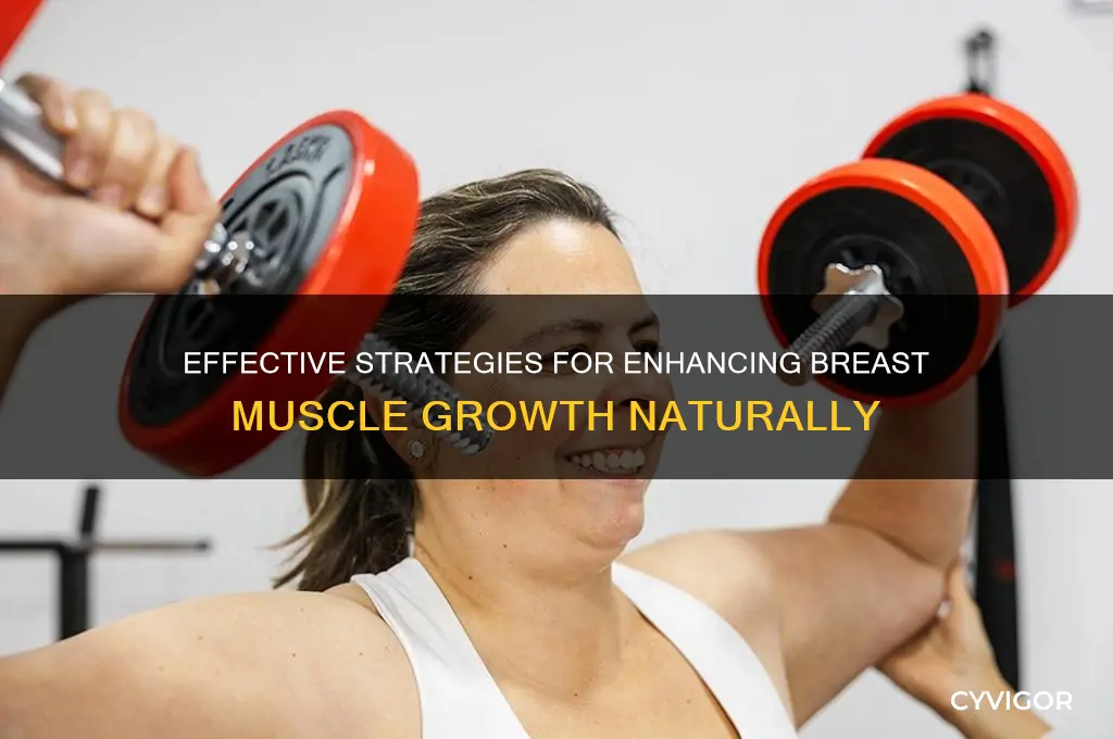 Effective Strategies For Enhancing Breast Muscle Growth Naturally | CyVigor