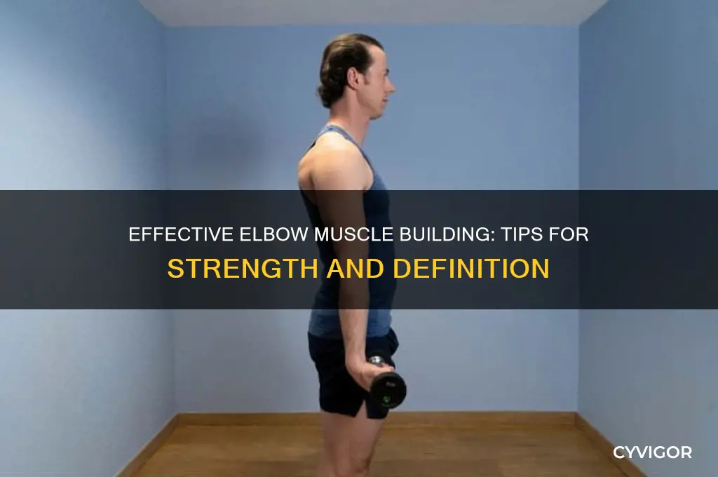 Effective Elbow Muscle Building: Tips For Strength And Definition | CyVigor
