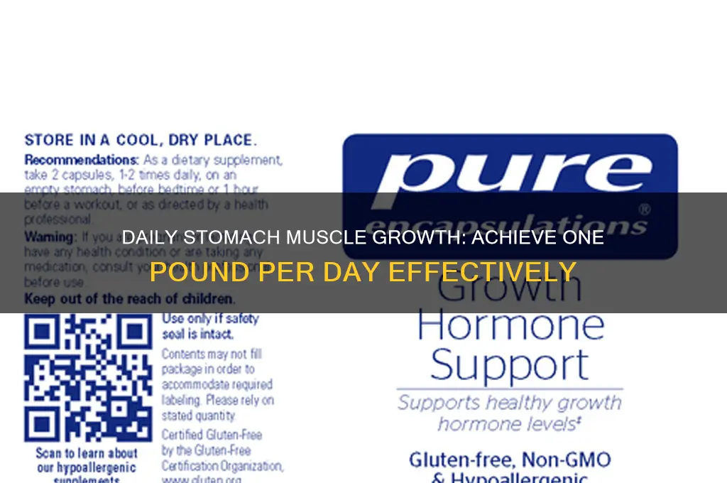Daily Stomach Muscle Growth: Achieve One Pound Per Day Effectively ...